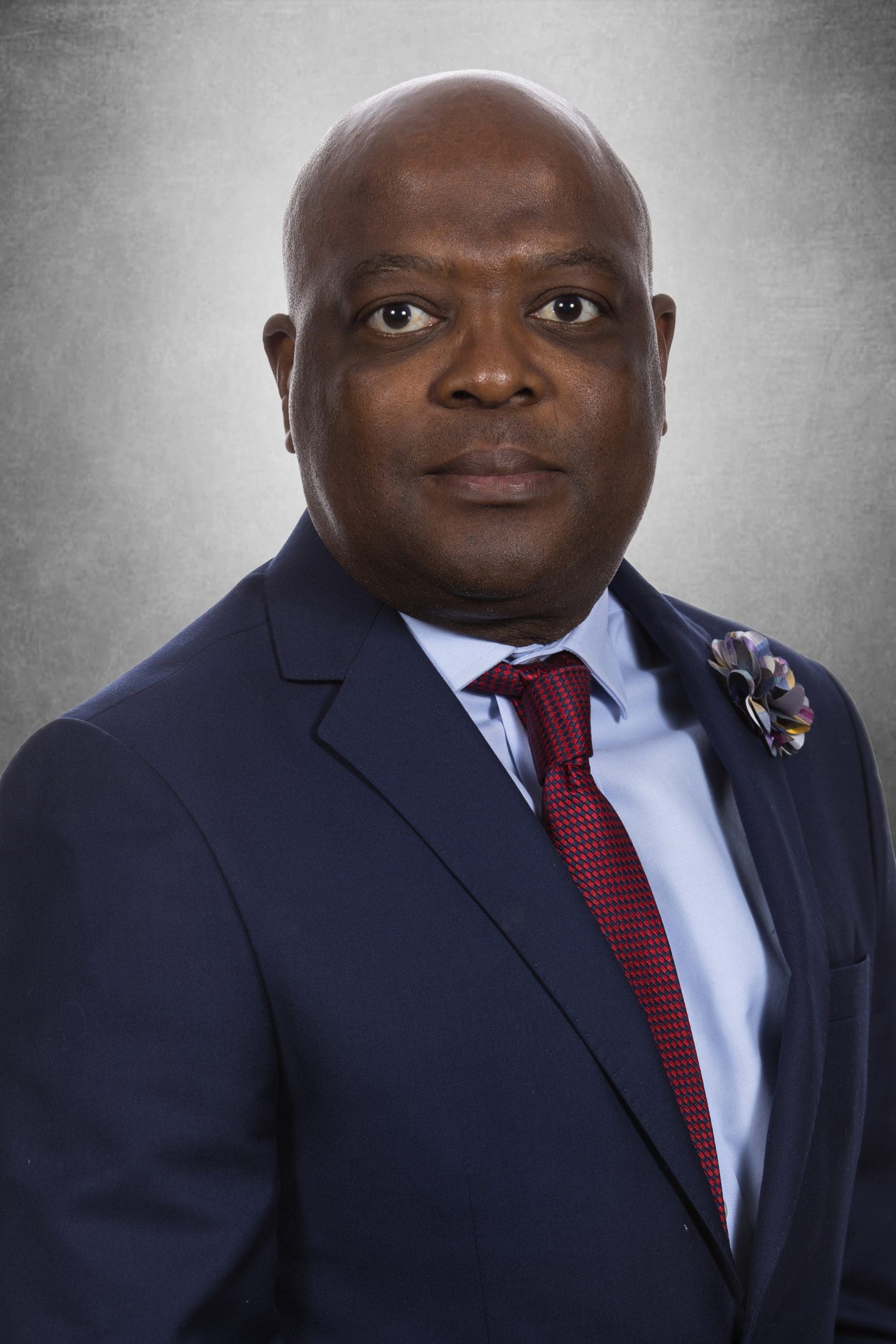 Board Members - Council for Geoscience