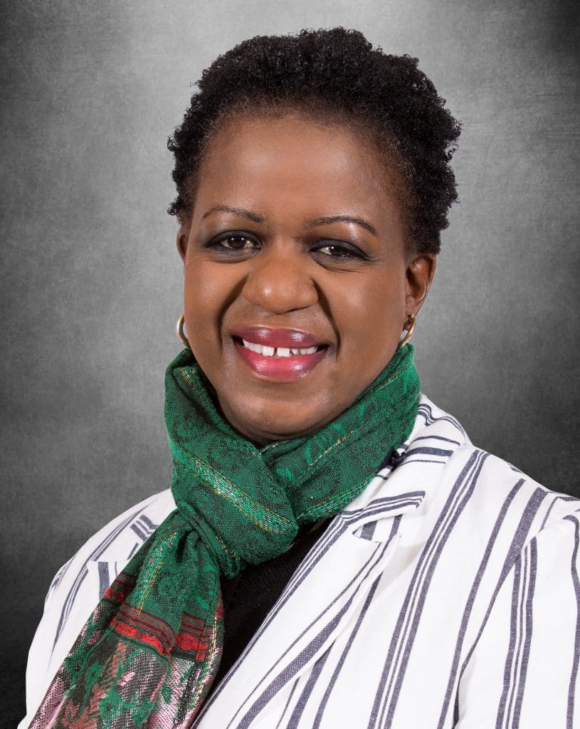 Board Members - Council for Geoscience