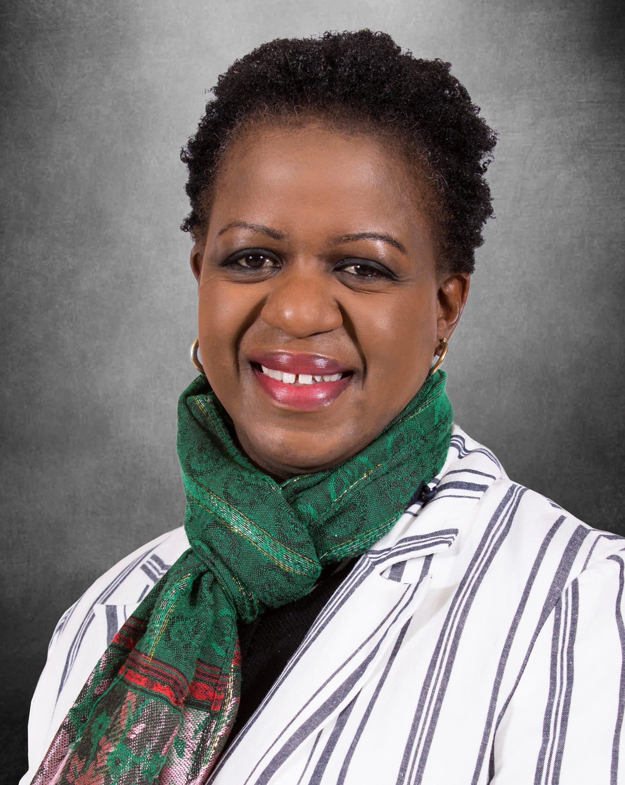 Board Members - Council for Geoscience